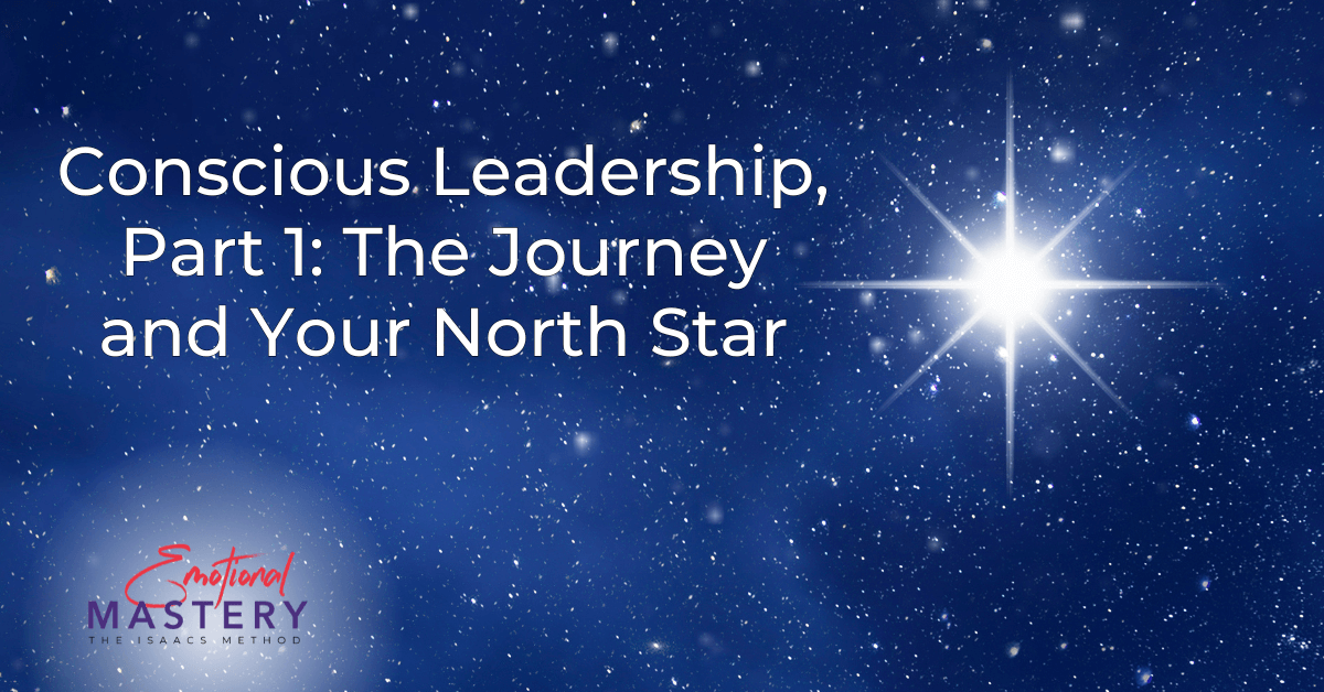 Conscious Leadership Part 1: The Journey and Your North Star | Andrea ...